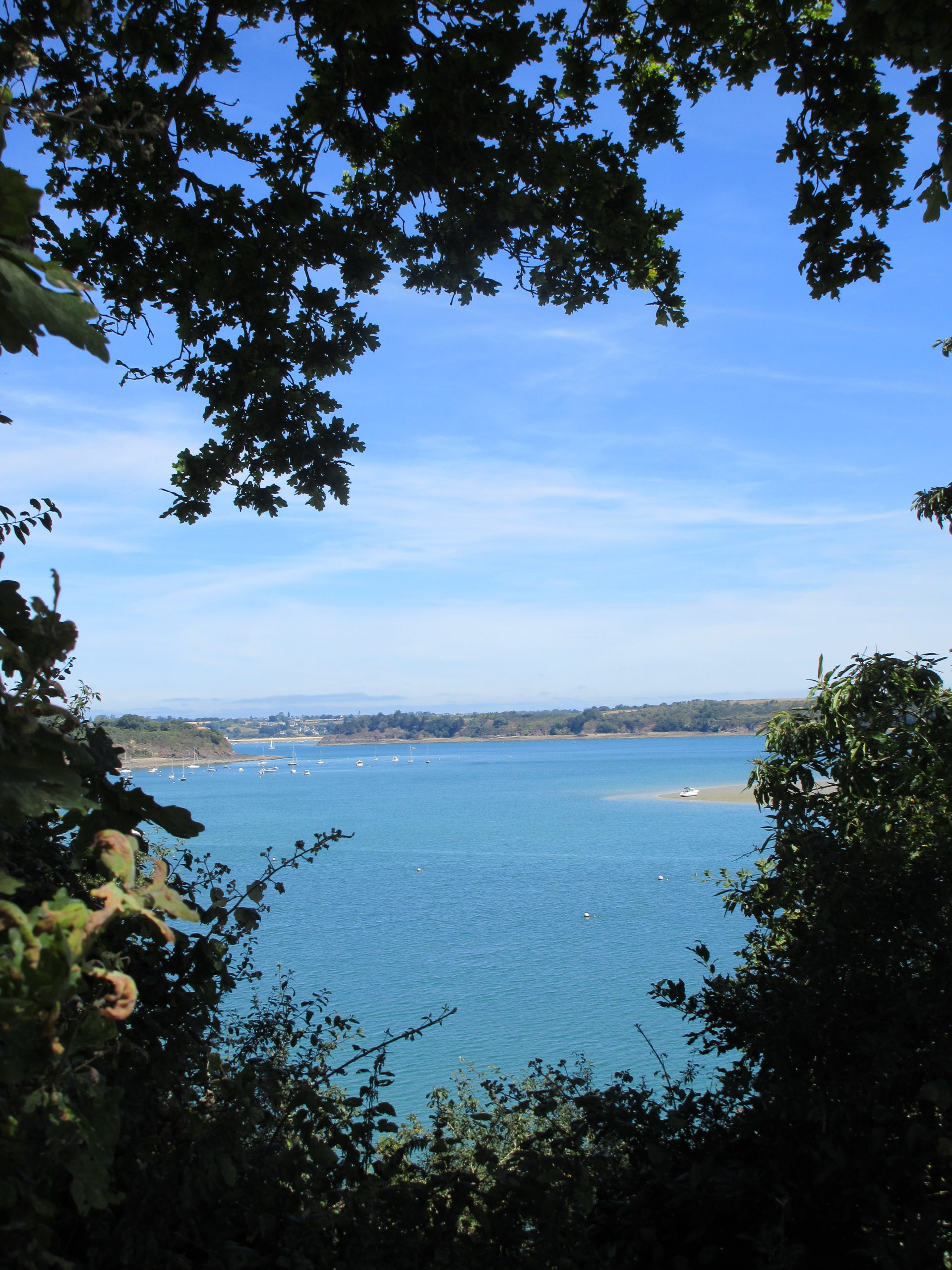 Que se passe-t-il ce mois-ci ? - Zentonic